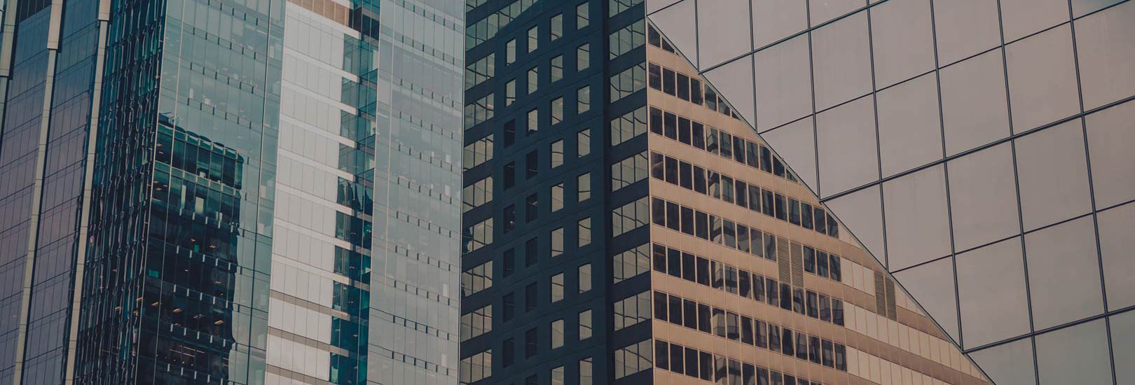 Case Studies & Financial Recommendations | DLD Financial